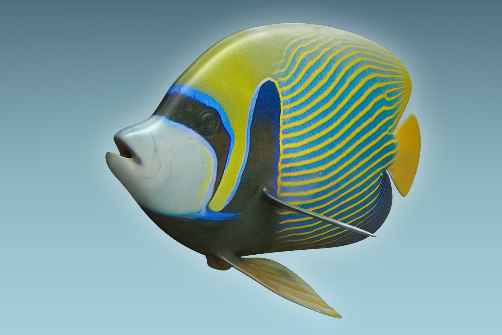 Emperor angle fish 3D - TurboSquid 1200757