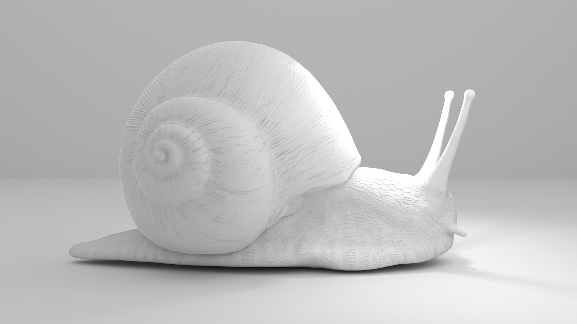 3D Snail Model - TurboSquid 1781627