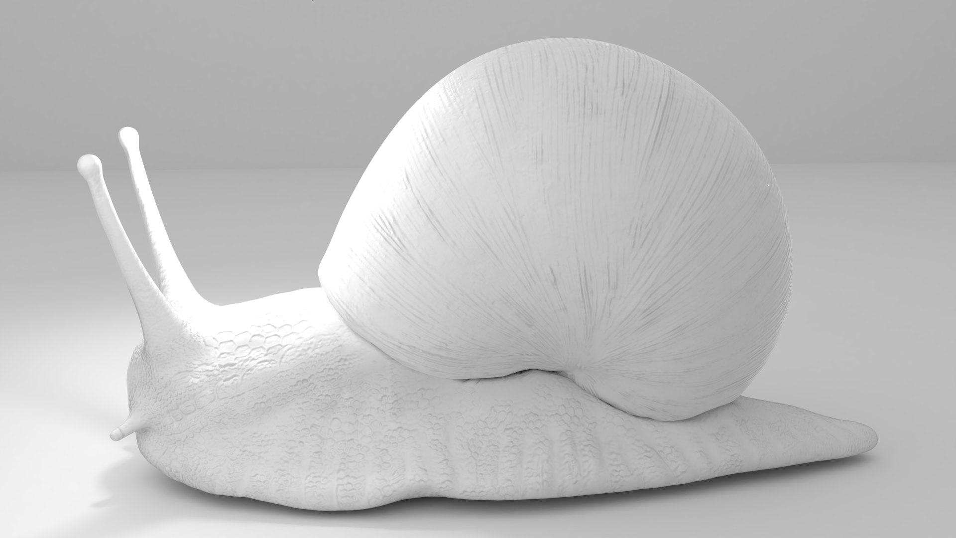 3D Snail Model - TurboSquid 1781627