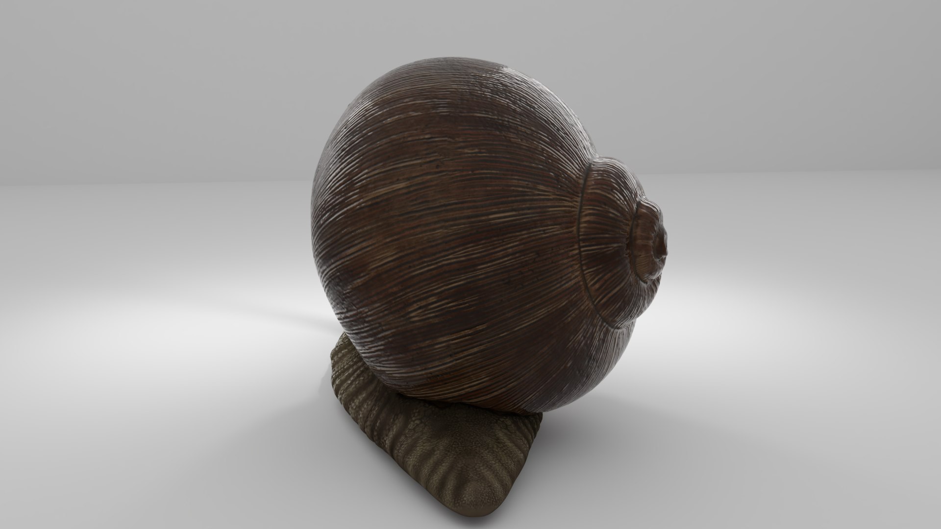 3D Snail Model - TurboSquid 1781627
