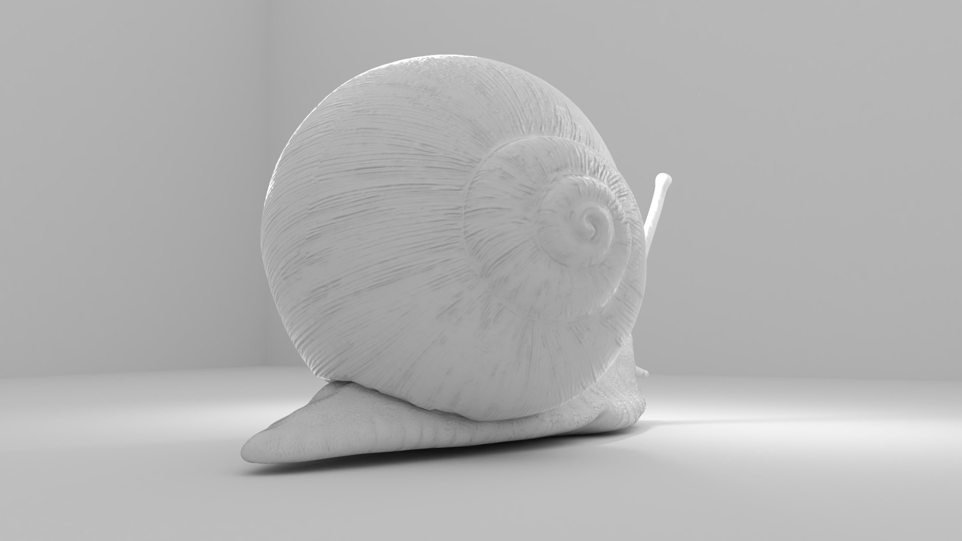 3D Snail Model - TurboSquid 1781627