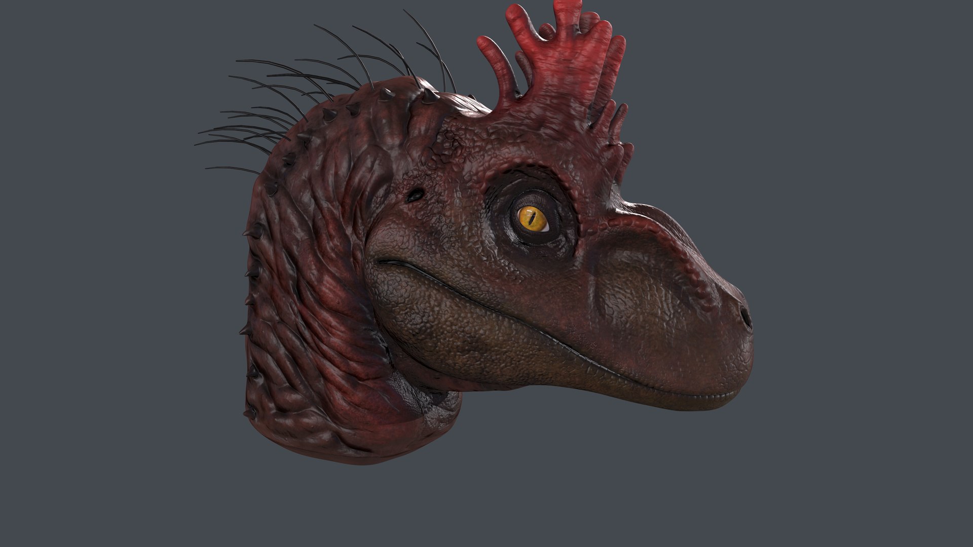 Velociraptor Head 3D Model - TurboSquid 1736757