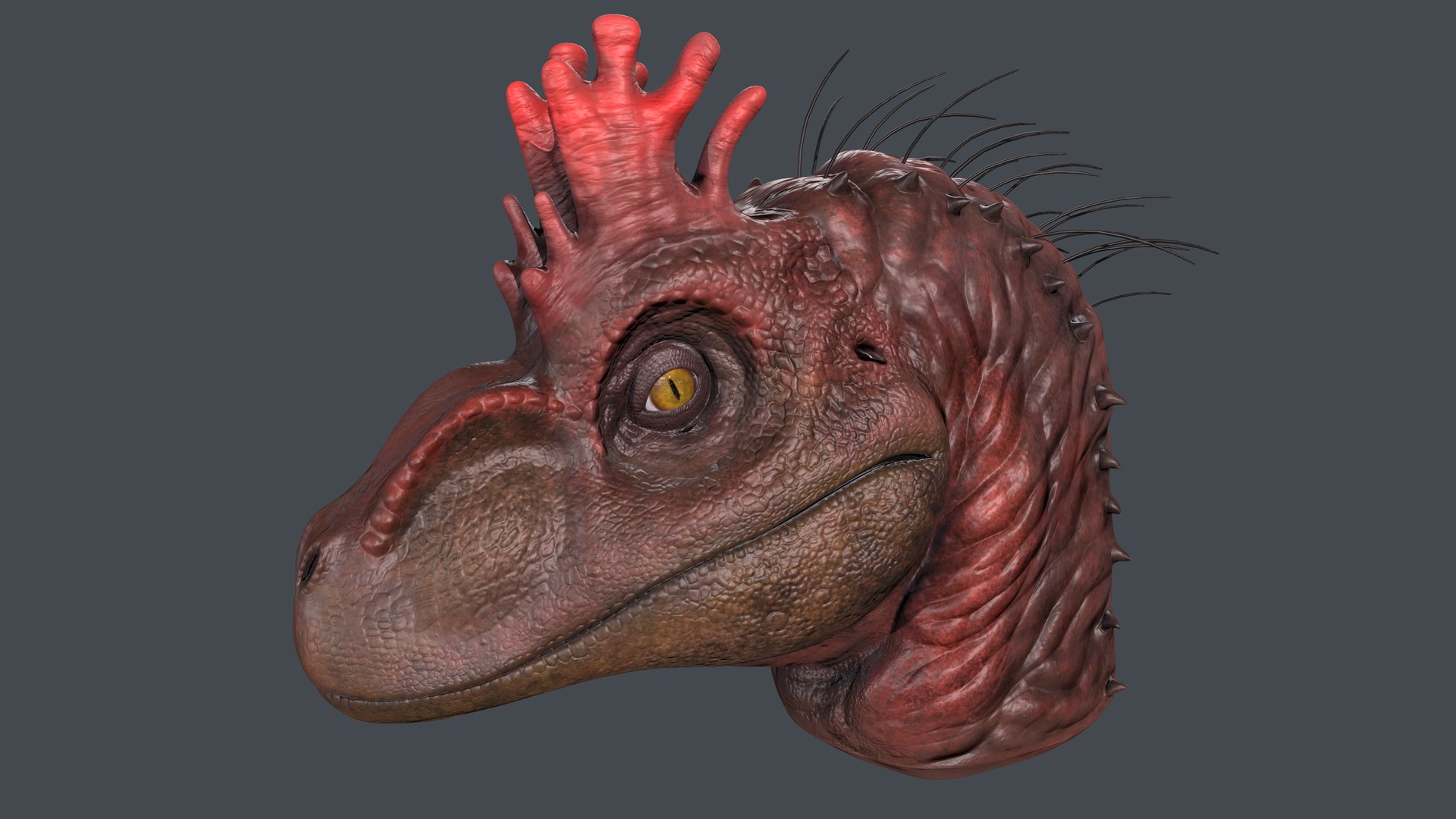 Velociraptor Head 3D Model - TurboSquid 1736757