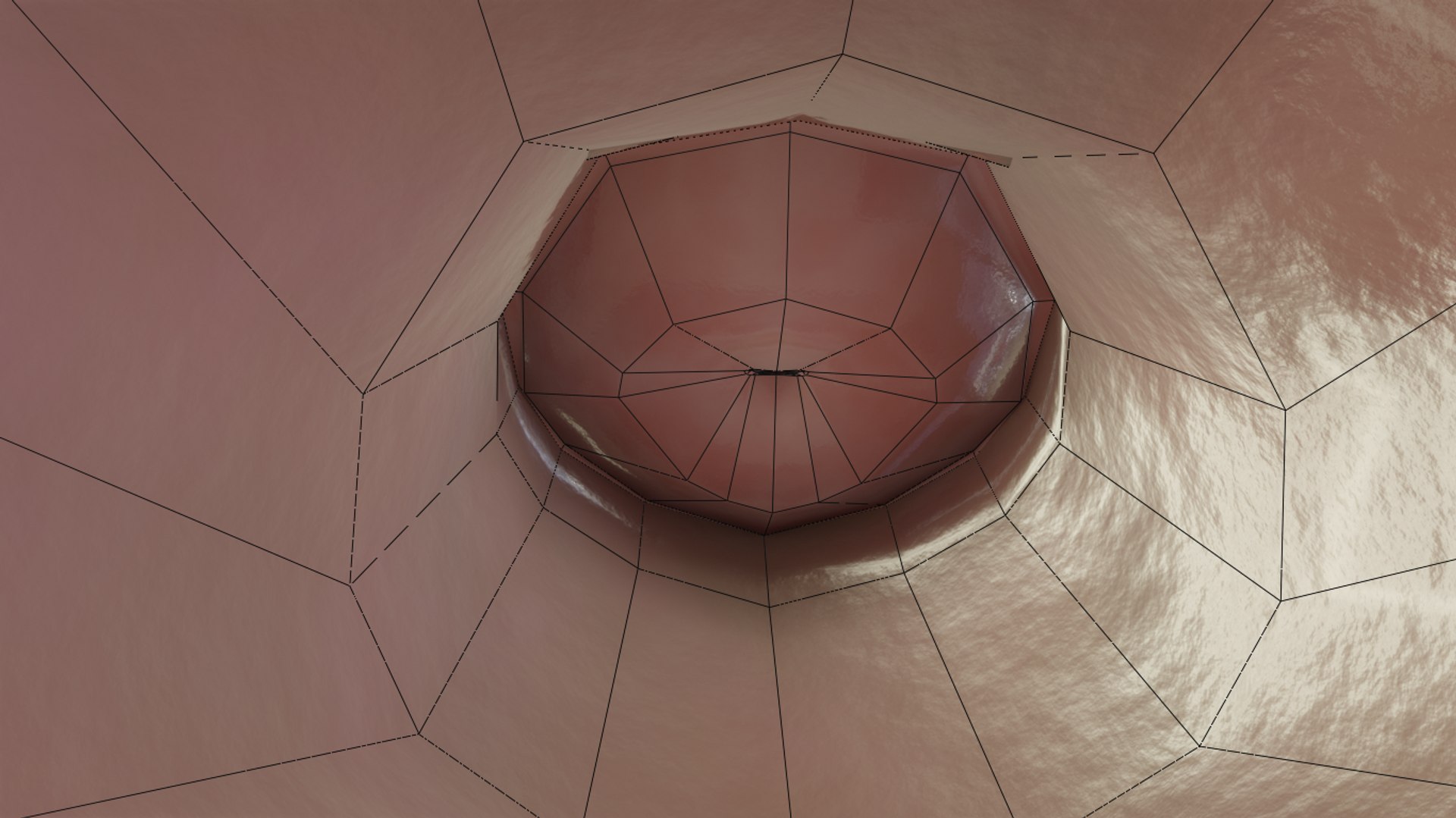 3D Female Reproductive Model - TurboSquid 1540885