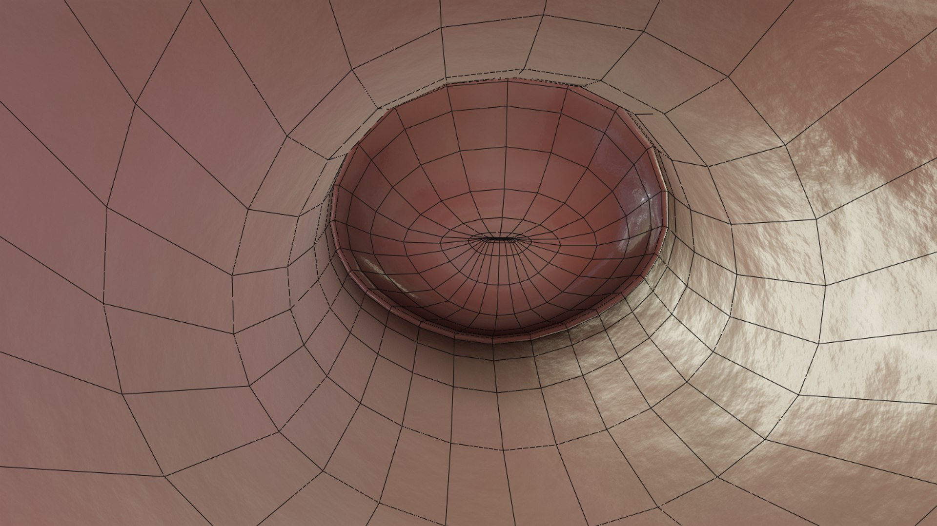 3D Female Reproductive Model - TurboSquid 1540885