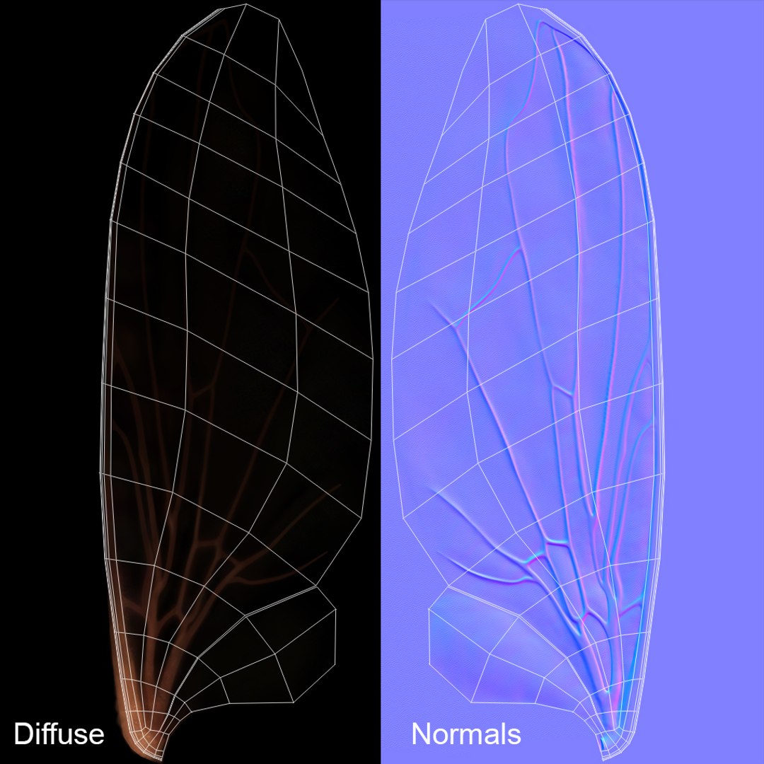 3D realistic housefly - TurboSquid 1346869