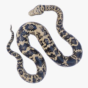 Snake Blender Models for Download | TurboSquid