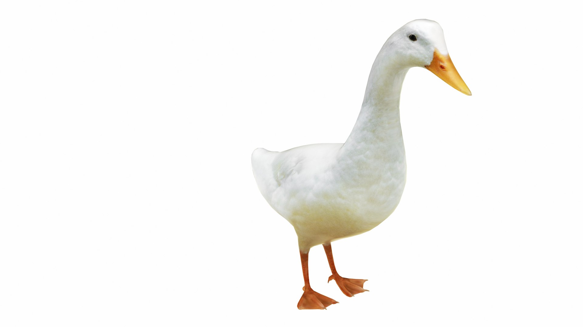 Goose 3D Model - TurboSquid 2329529