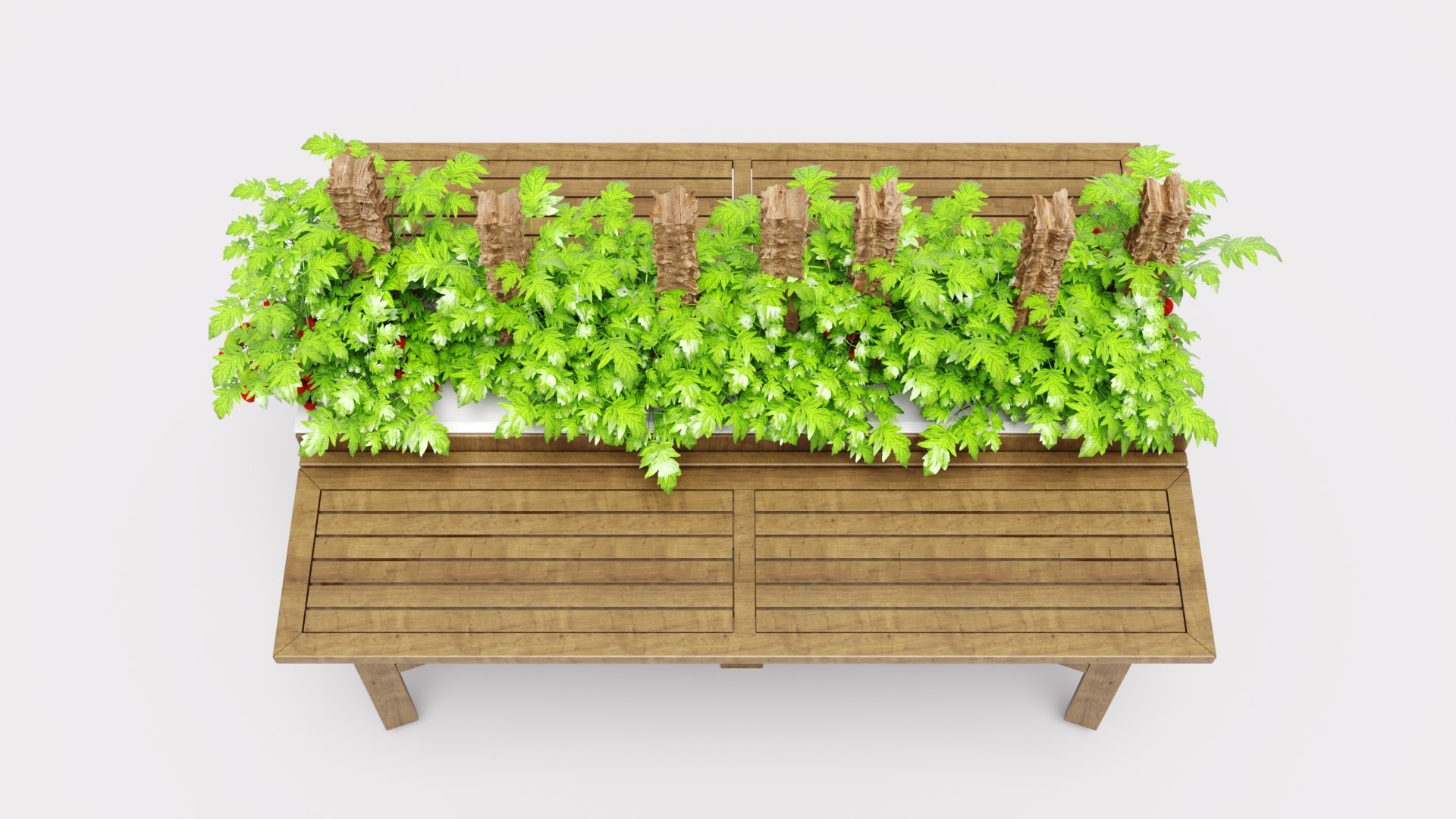3D Model Hydroponic Garden Table With Tomato Plants - TurboSquid 2319160