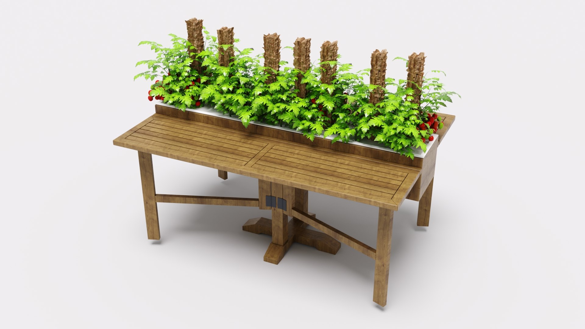 3D Model Hydroponic Garden Table With Tomato Plants - TurboSquid 2319160