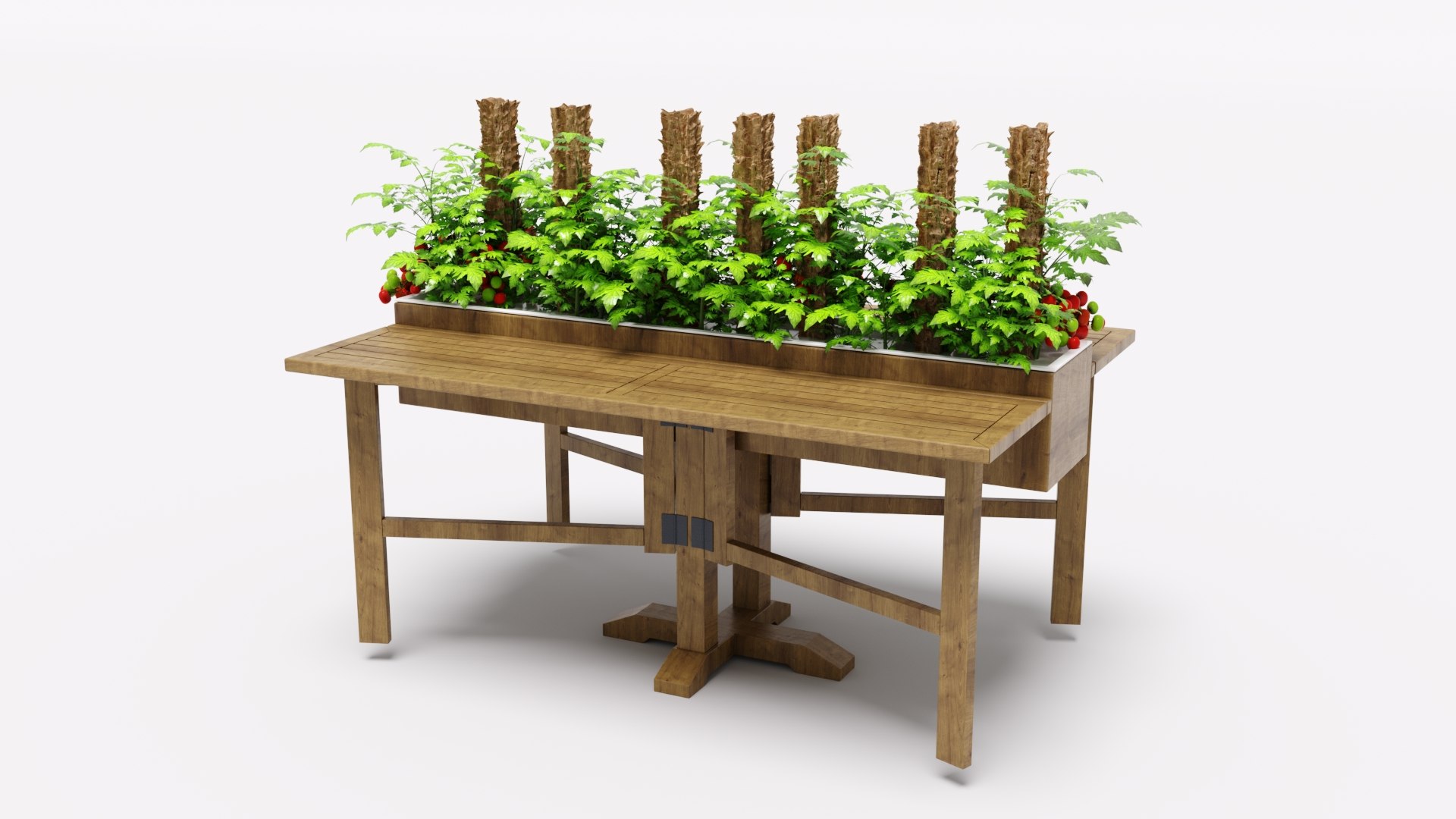 3D Model Hydroponic Garden Table With Tomato Plants - TurboSquid 2319160