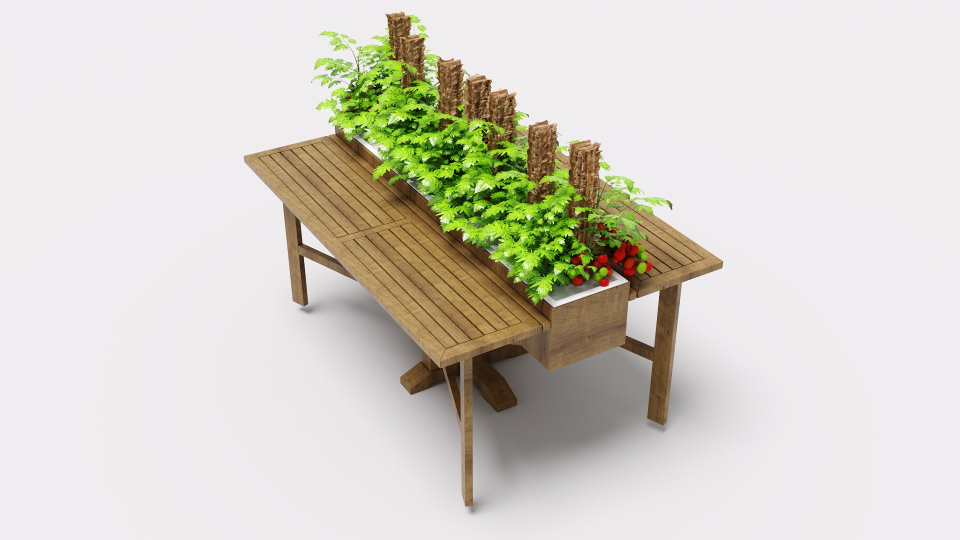 3D Model Hydroponic Garden Table With Tomato Plants - TurboSquid 2319160