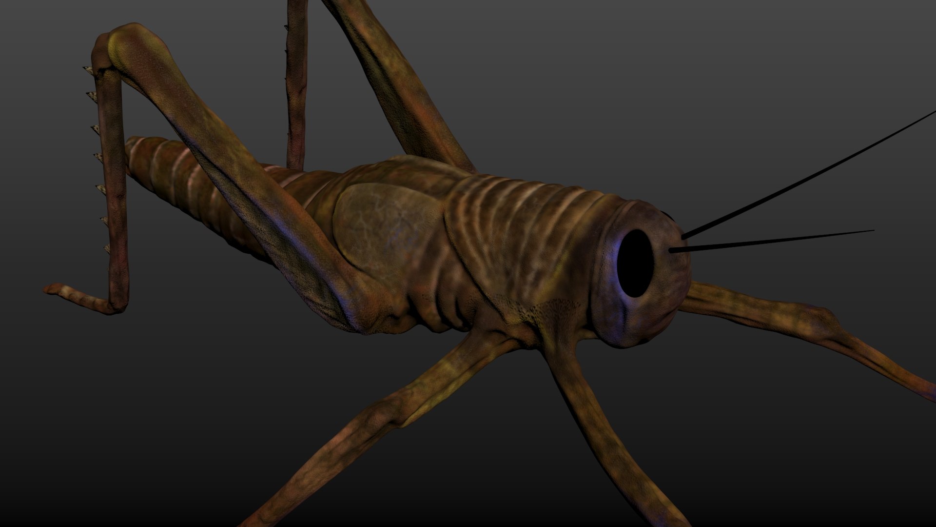 Grasshopper 3D - TurboSquid 1832246