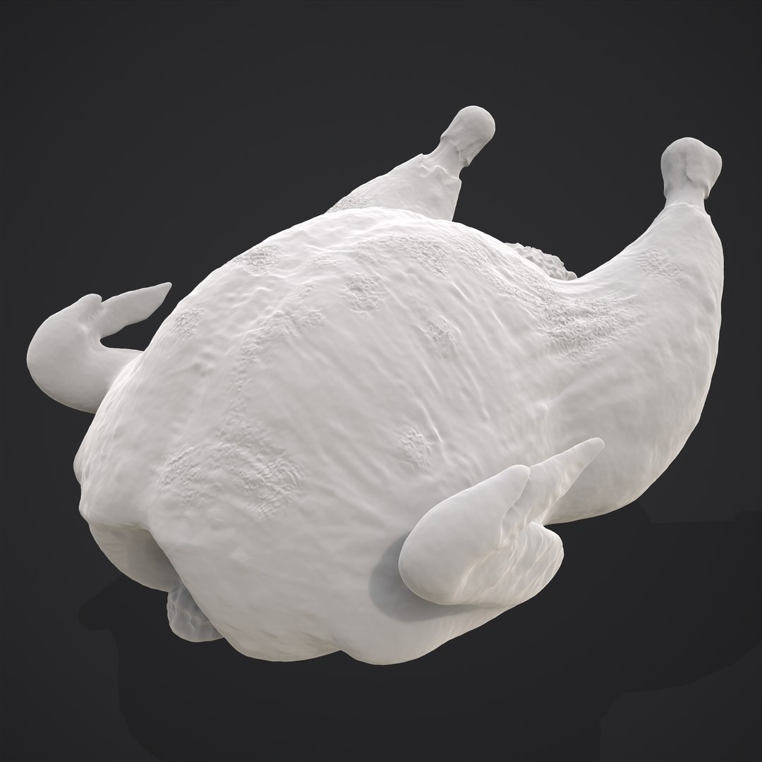 Stuffed Chicken Printable 3D Model - TurboSquid 1846476