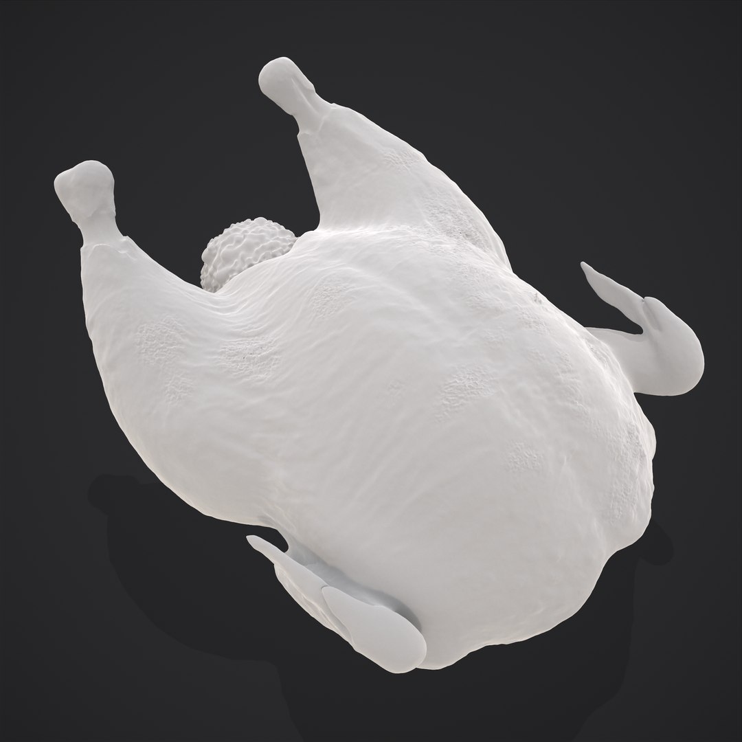 Stuffed Chicken Printable 3D Model - TurboSquid 1846476