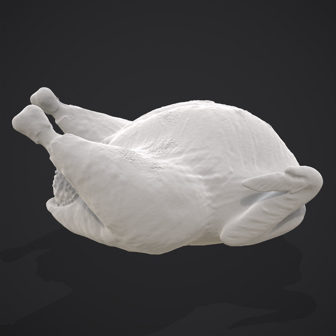 Stuffed Chicken Printable 3D Model - TurboSquid 1846476