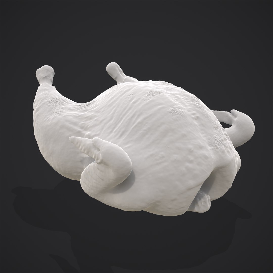 Stuffed Chicken Printable 3D Model - TurboSquid 1846476