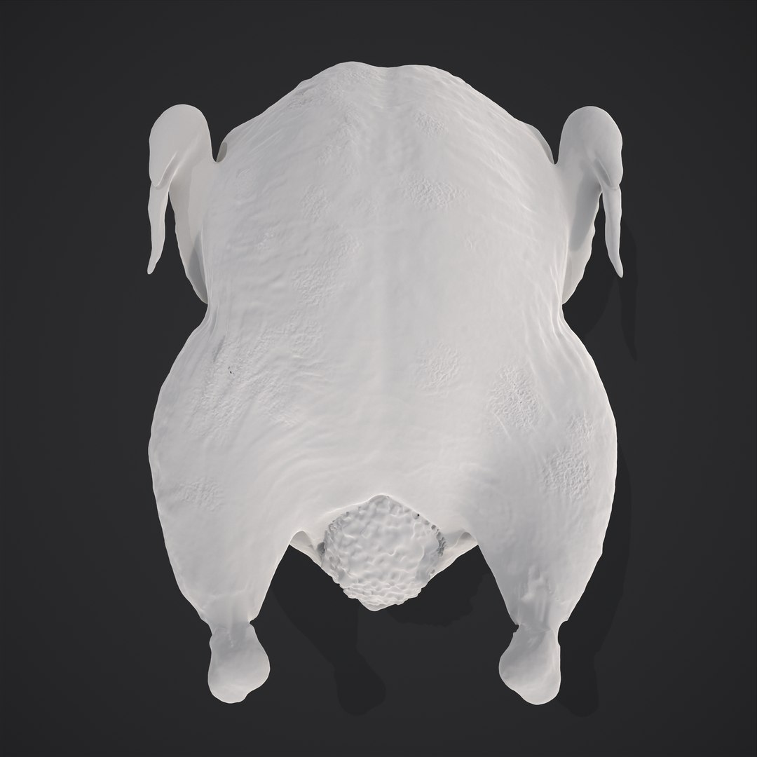 Stuffed Chicken Printable 3D Model - TurboSquid 1846476
