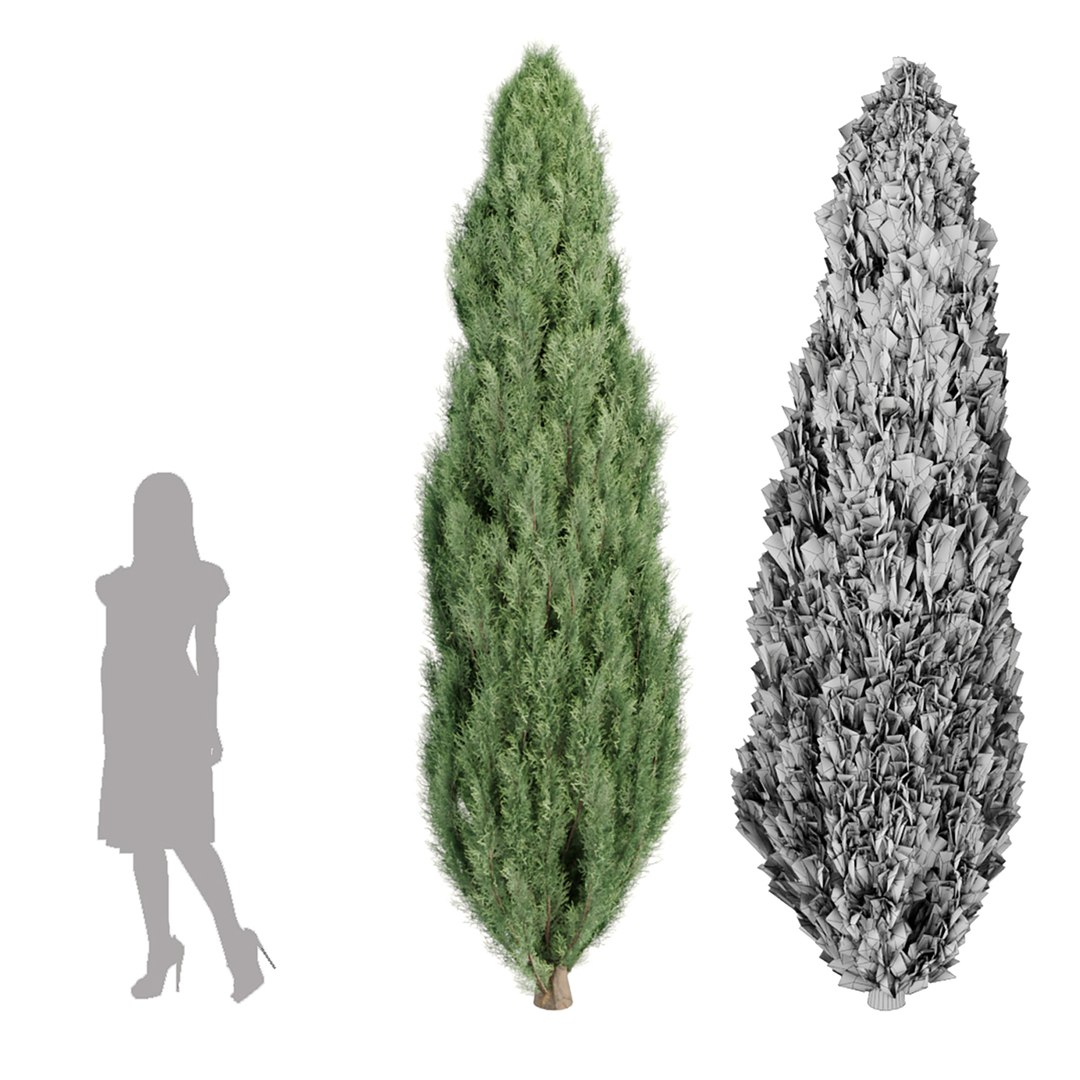 Juniper trees collection vol 20 3D - TurboSquid 1948520