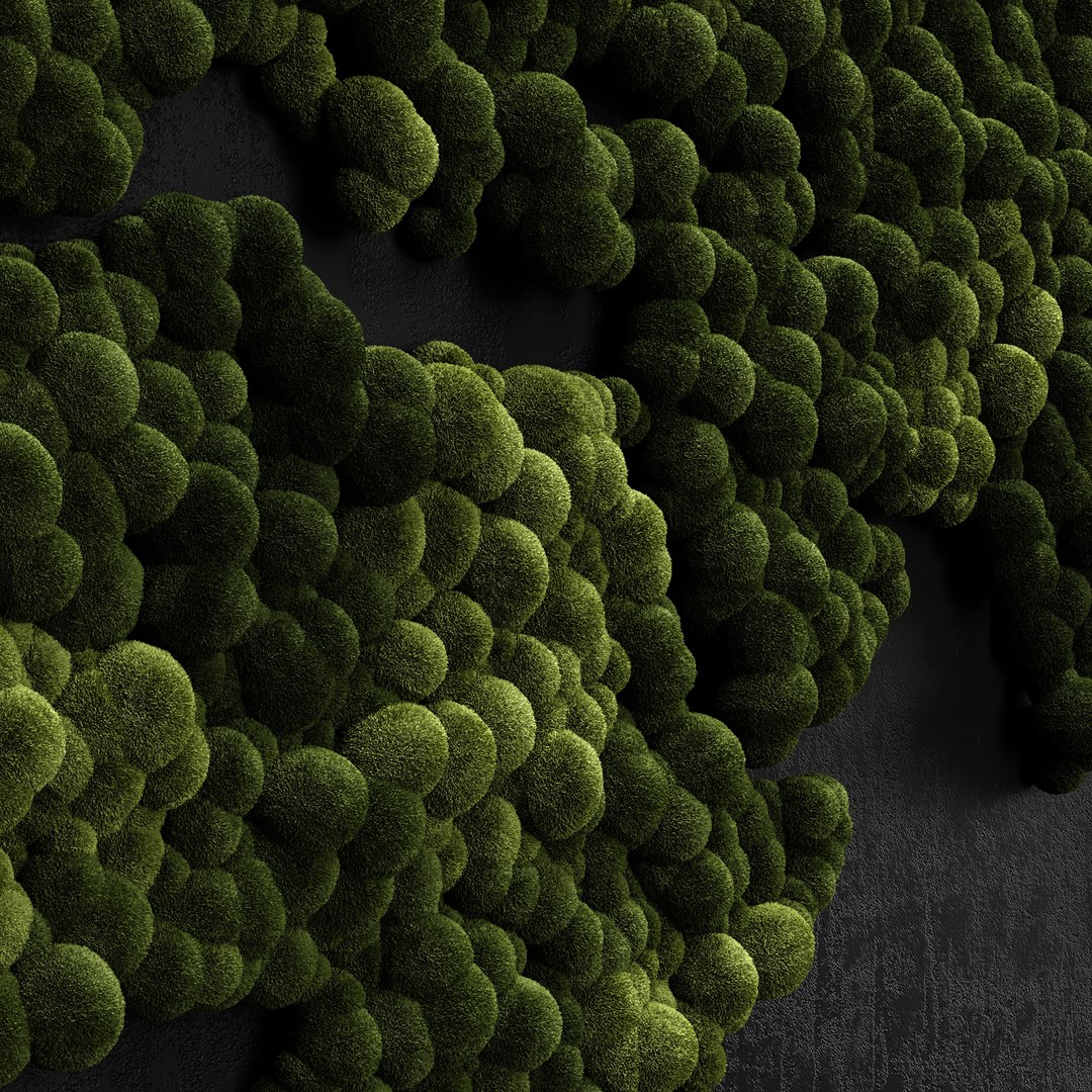 3D Stabilized Moss World - TurboSquid 1498916