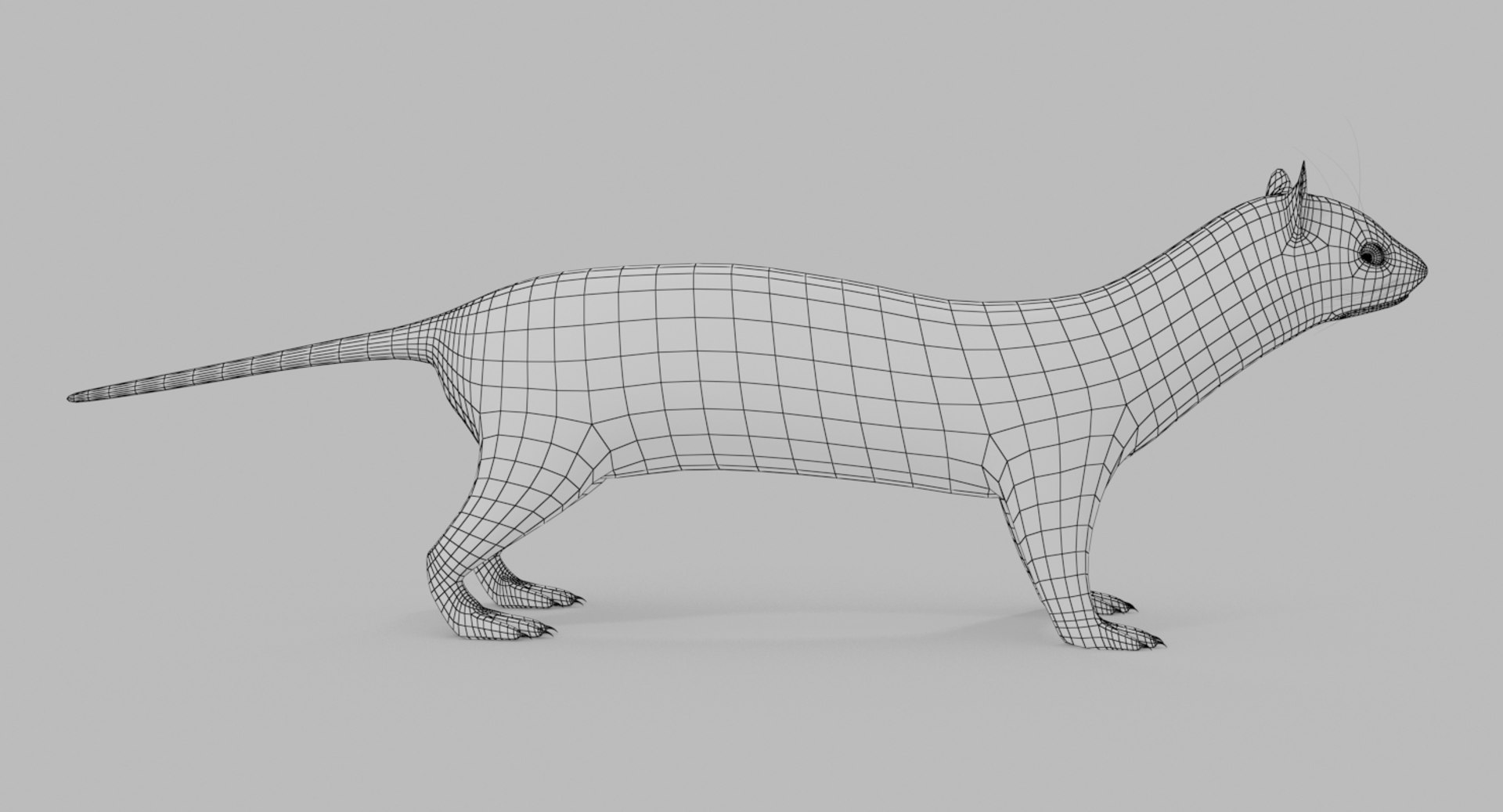 3D Model Weasel - TurboSquid 1213072