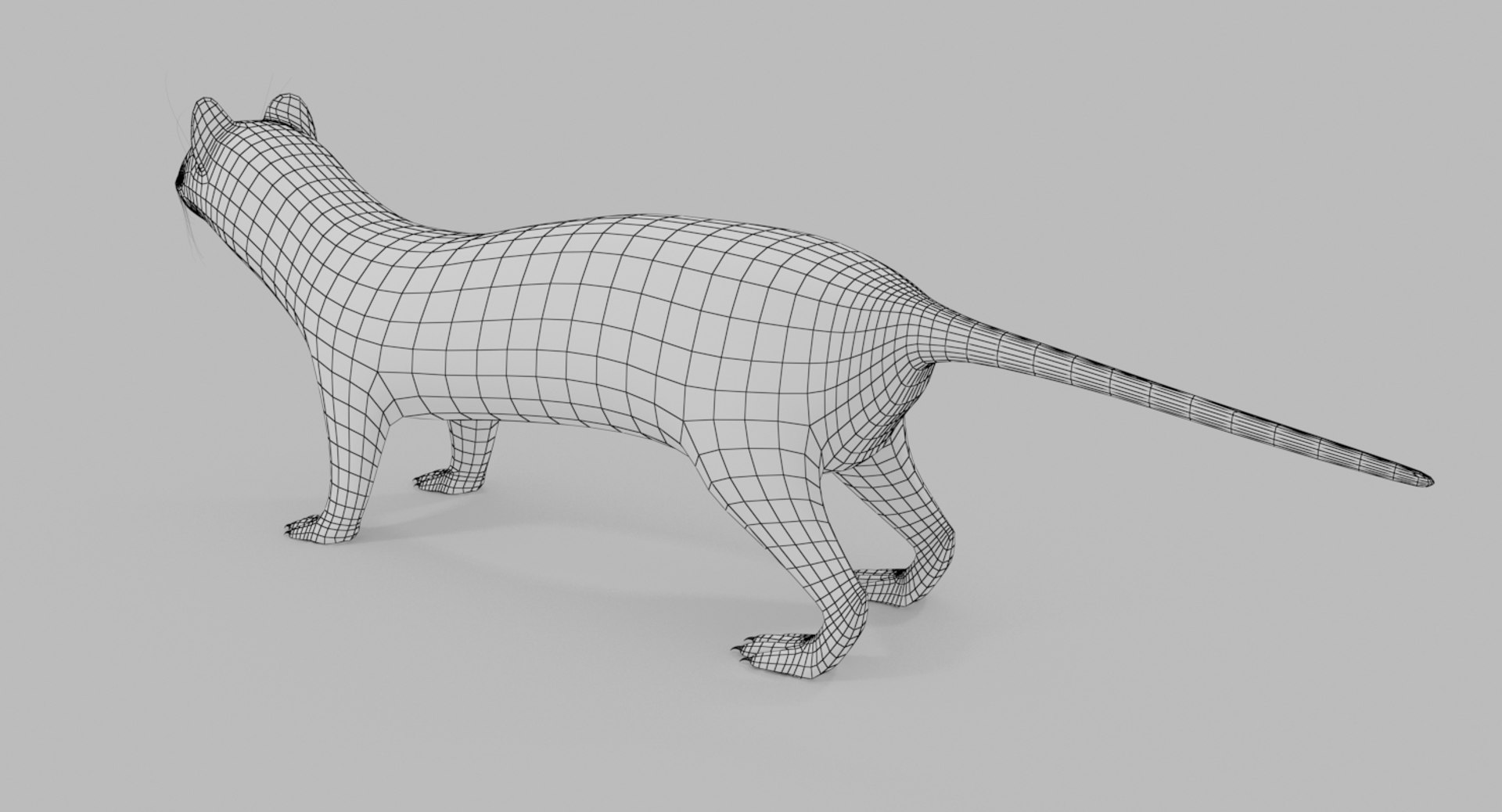 3D Model Weasel - TurboSquid 1213072