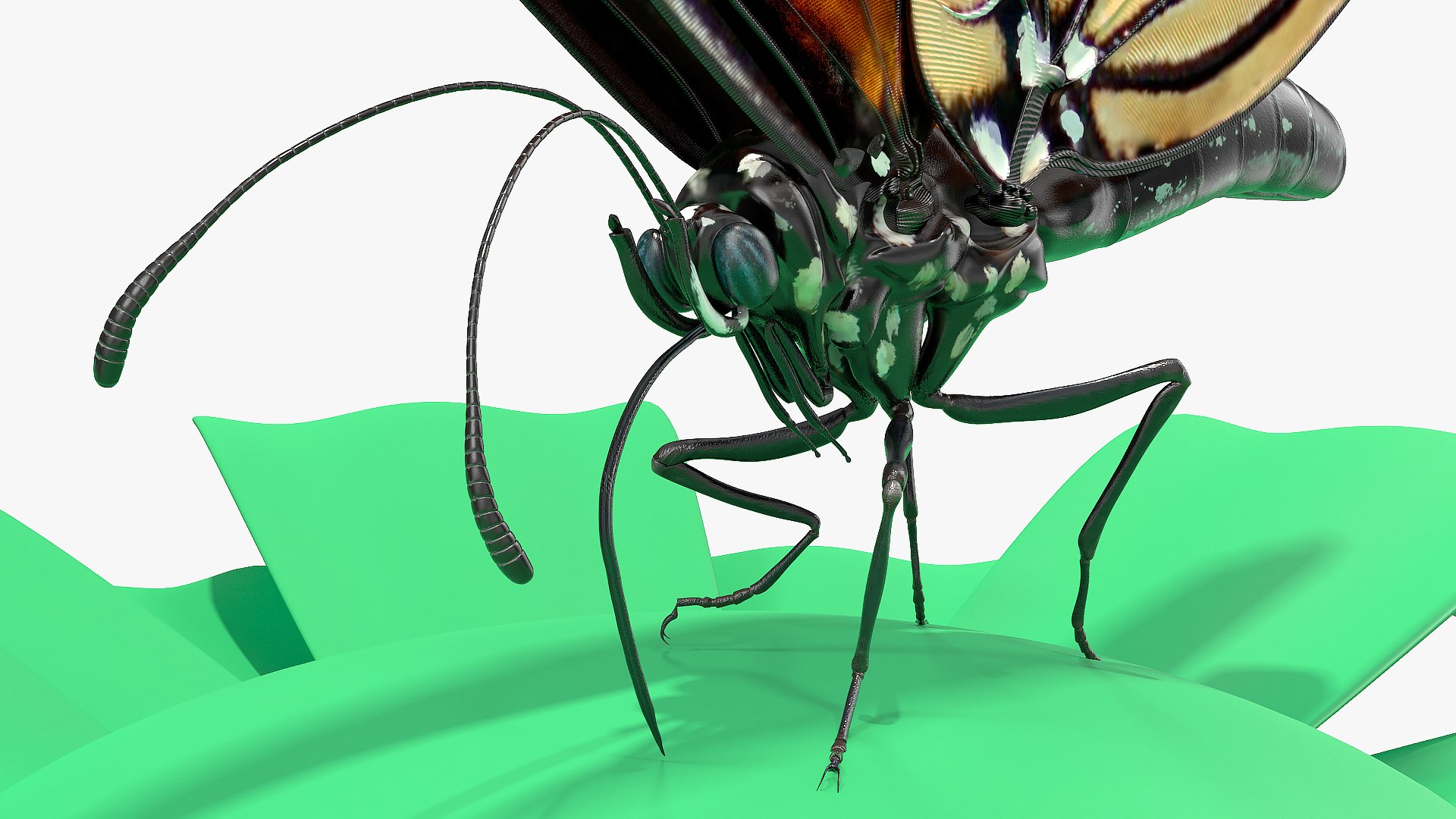 3D Monarch Butterfly Sits Swinging - TurboSquid 1468931