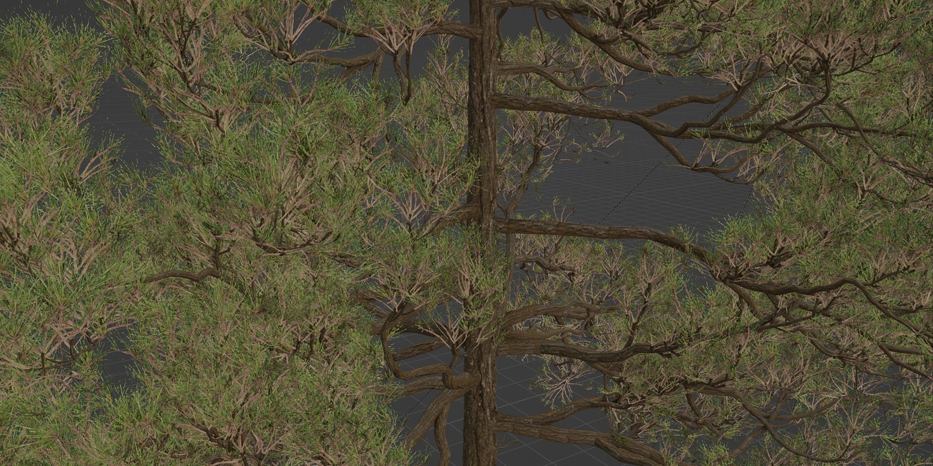 Pine Trees Collection Vol 39-Blender 3D Model - TurboSquid 2112986