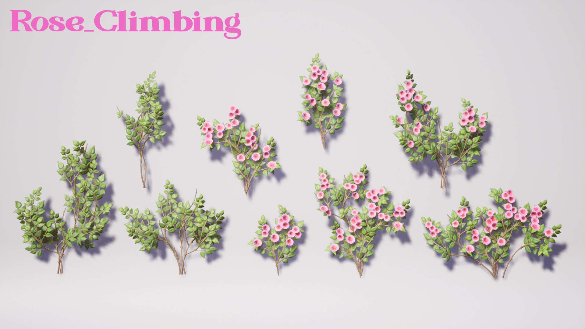 FLowers Pack 3D Model - TurboSquid 2026516