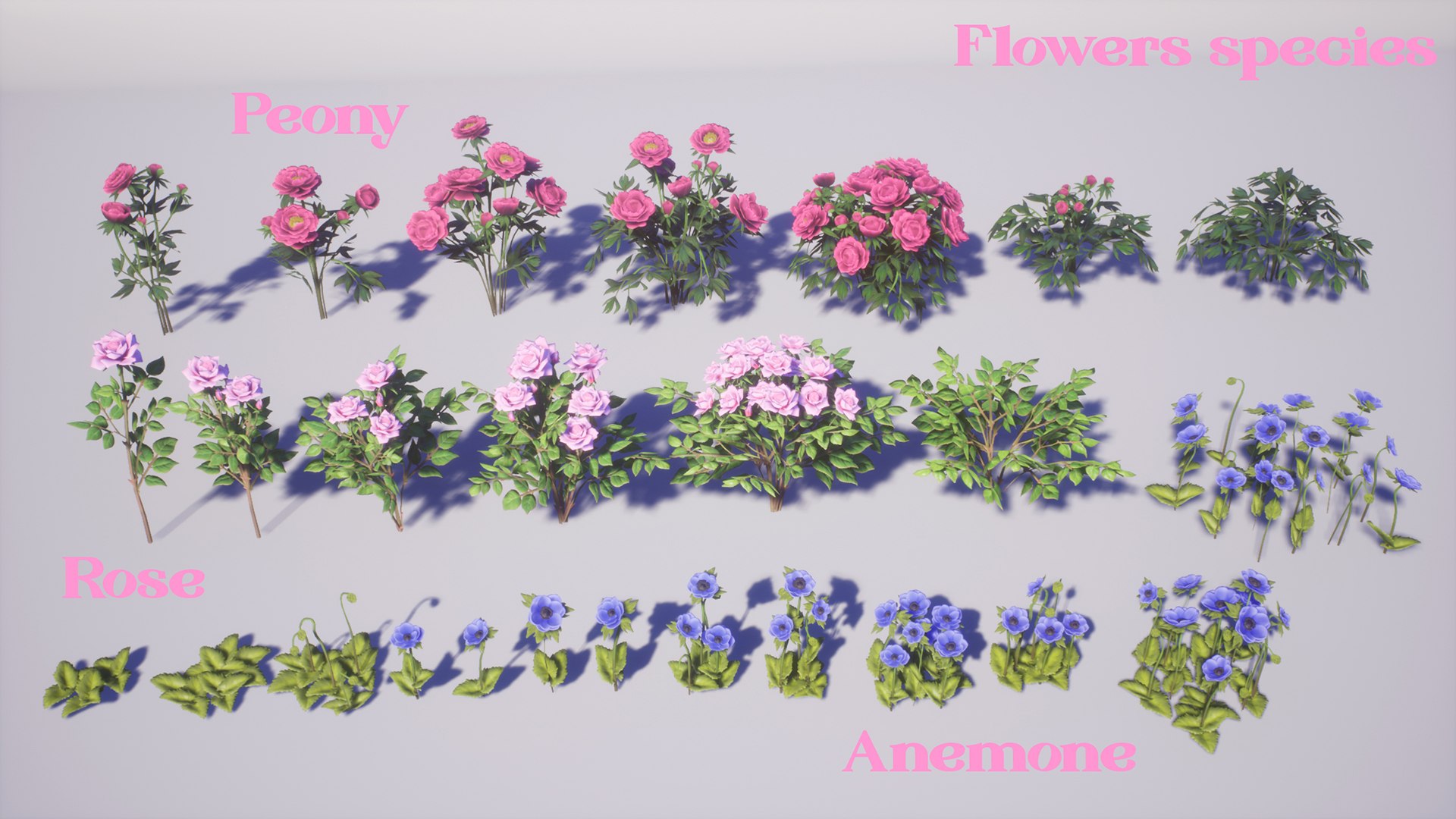 FLowers Pack 3D Model - TurboSquid 2026516