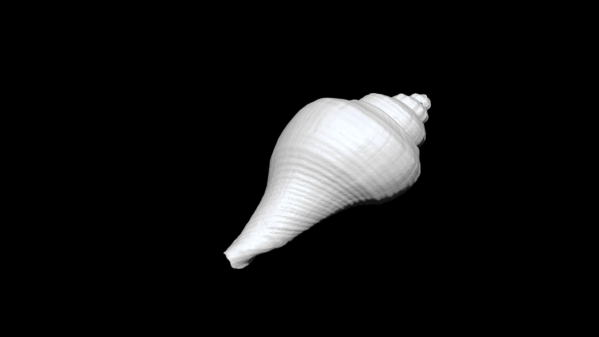 Seashell 014 3D CT Scan Model Model - TurboSquid 1846035