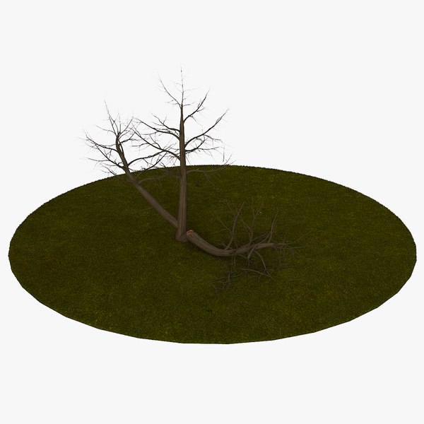 modelo 3d Árbol 5 ramas - TurboSquid 785242