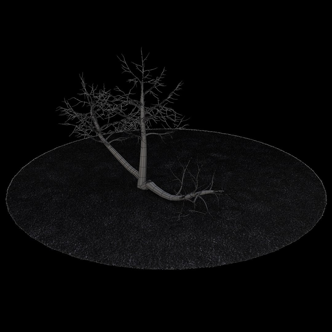 Tree 5 Branches 3d Model