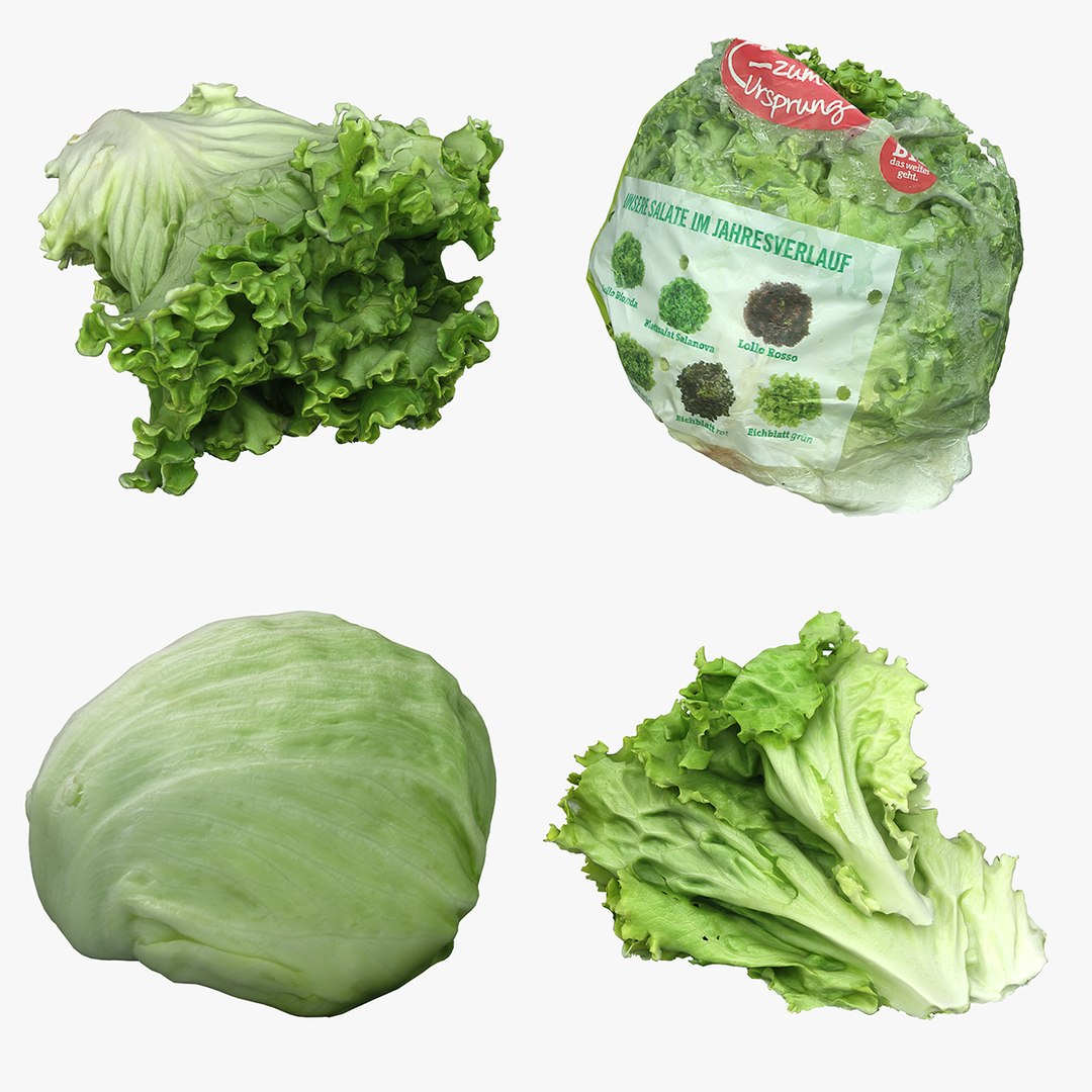 3D Model Salad Head Part Collection 08 - TurboSquid 2059166