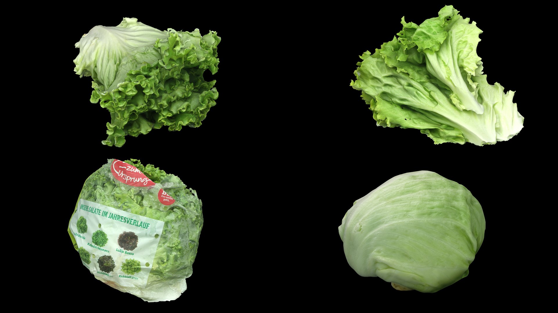3D Model Salad Head Part Collection 08 - TurboSquid 2059166