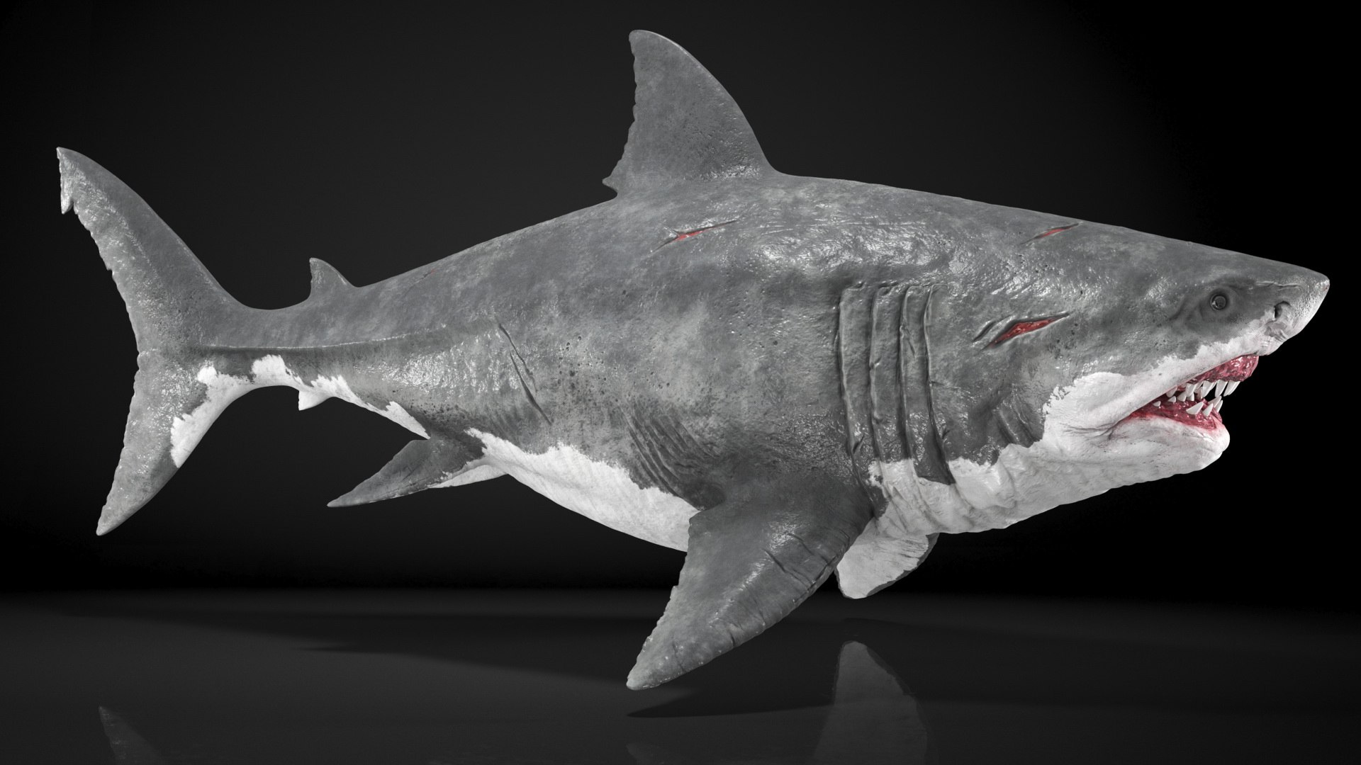 3D model Ancient Megashark Rigged for Modo - TurboSquid 1861949