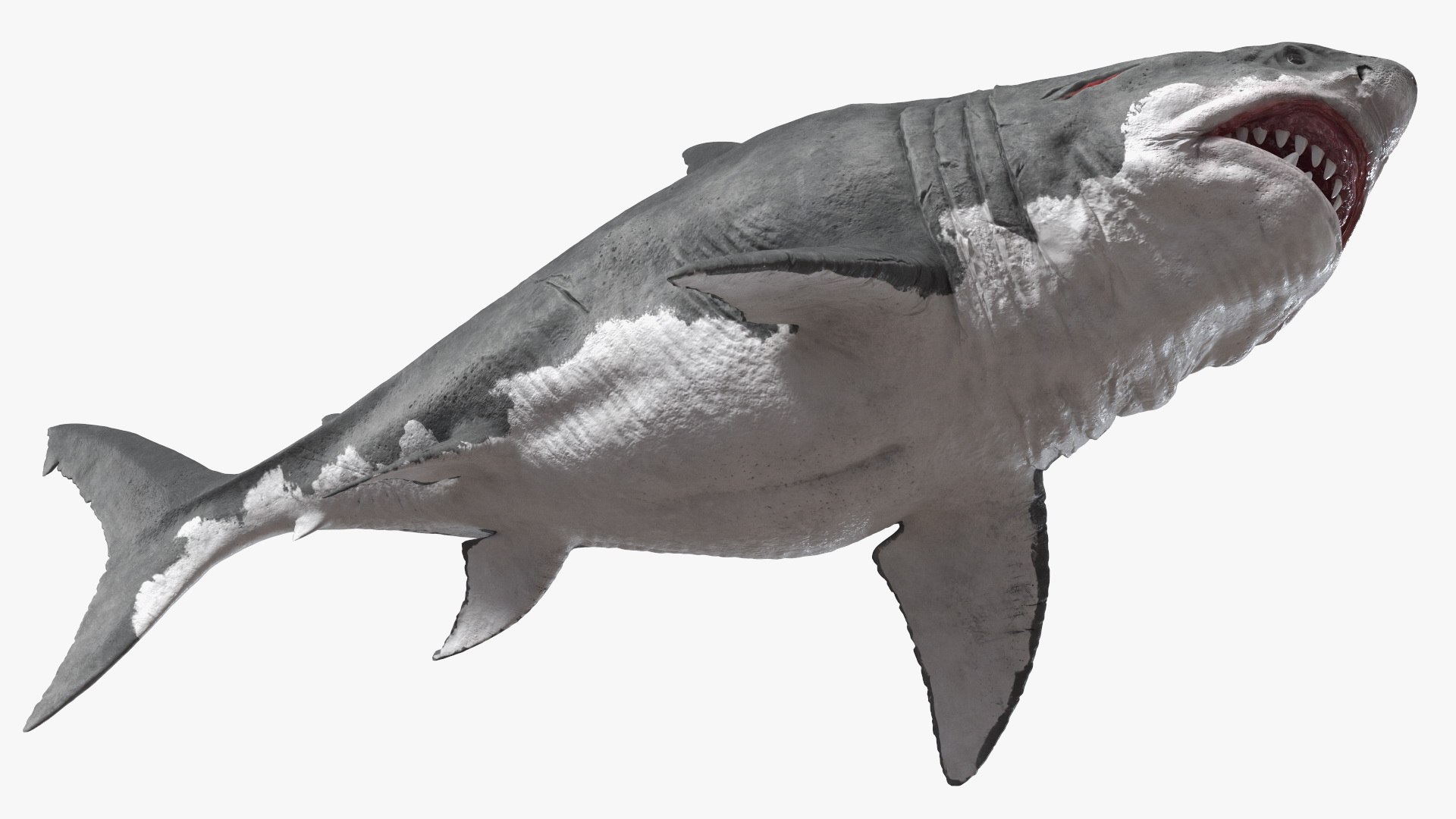 3D model Ancient Megashark Rigged for Modo - TurboSquid 1861949
