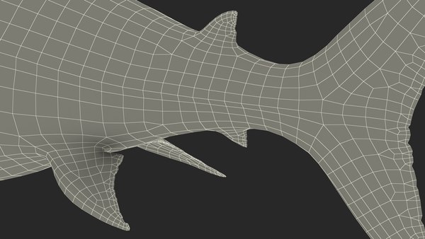 3D model Ancient Megashark Rigged for Modo - TurboSquid 1861949
