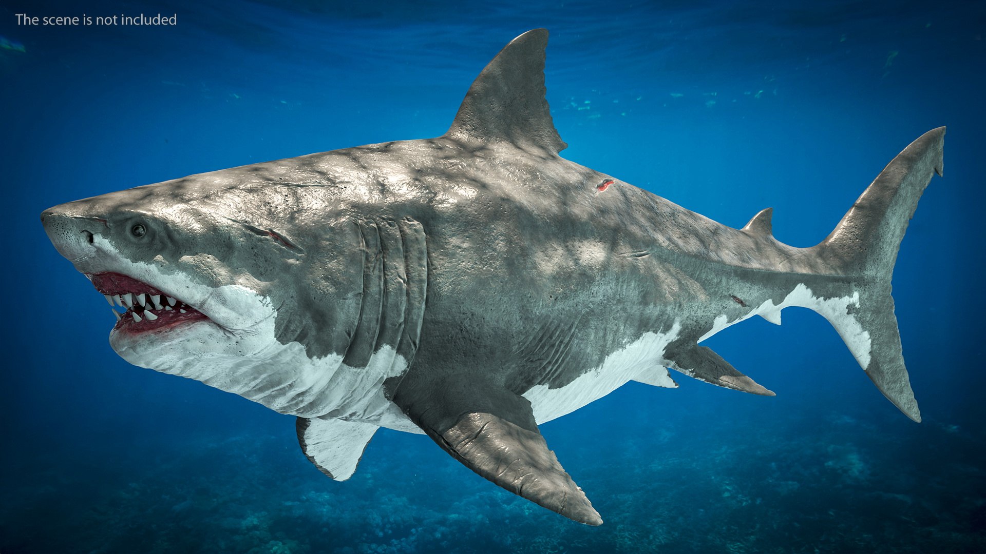 3D model Ancient Megashark Rigged for Modo - TurboSquid 1861949