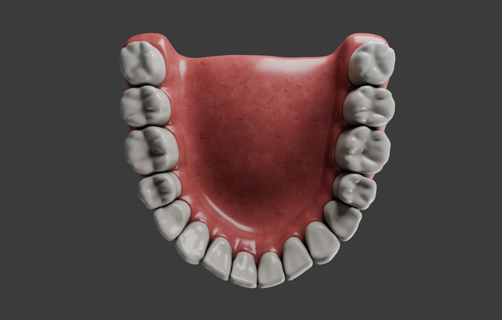 Teeth 3D Model - TurboSquid 2340485