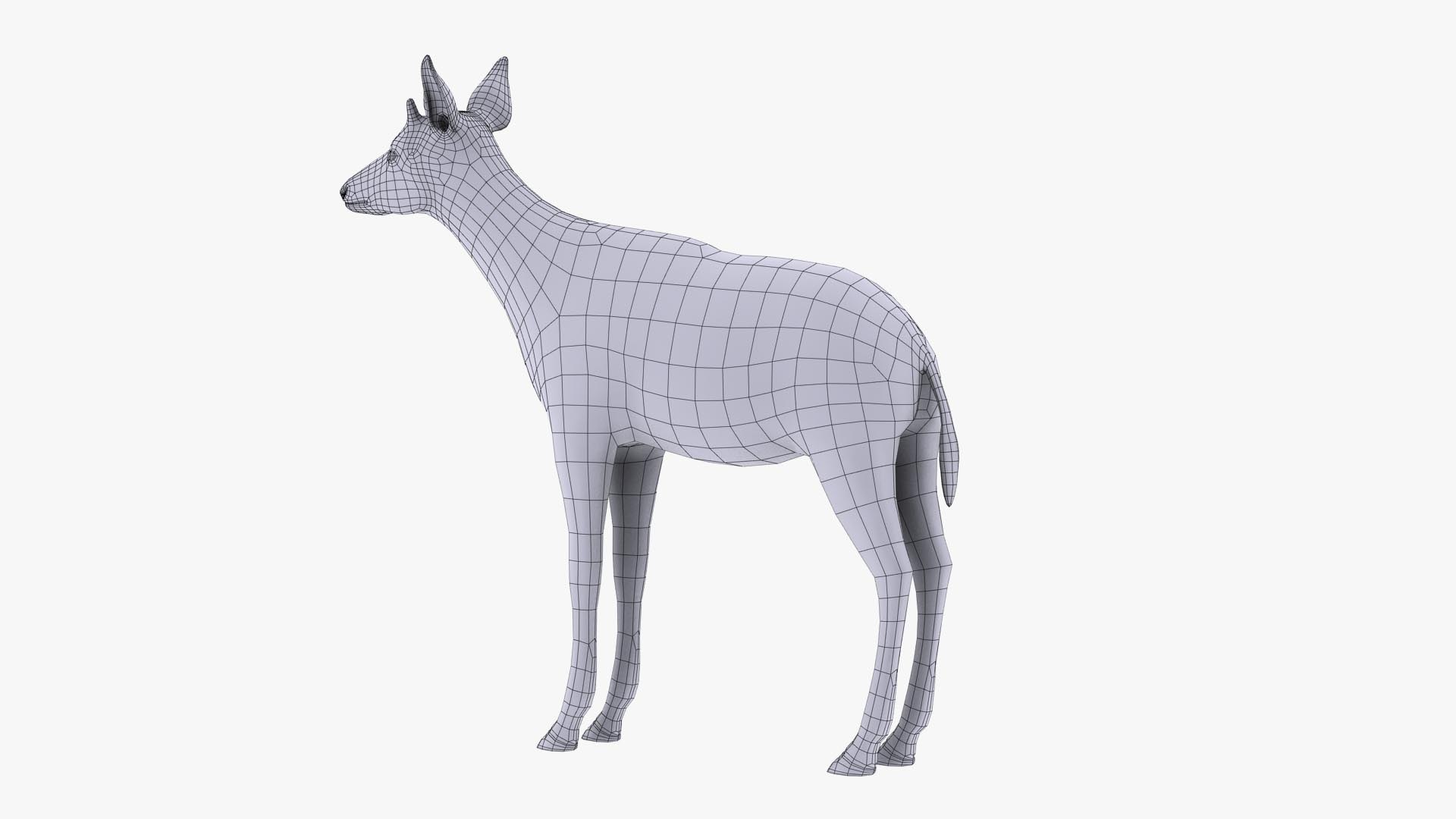 Okapi 3D - TurboSquid 1990485