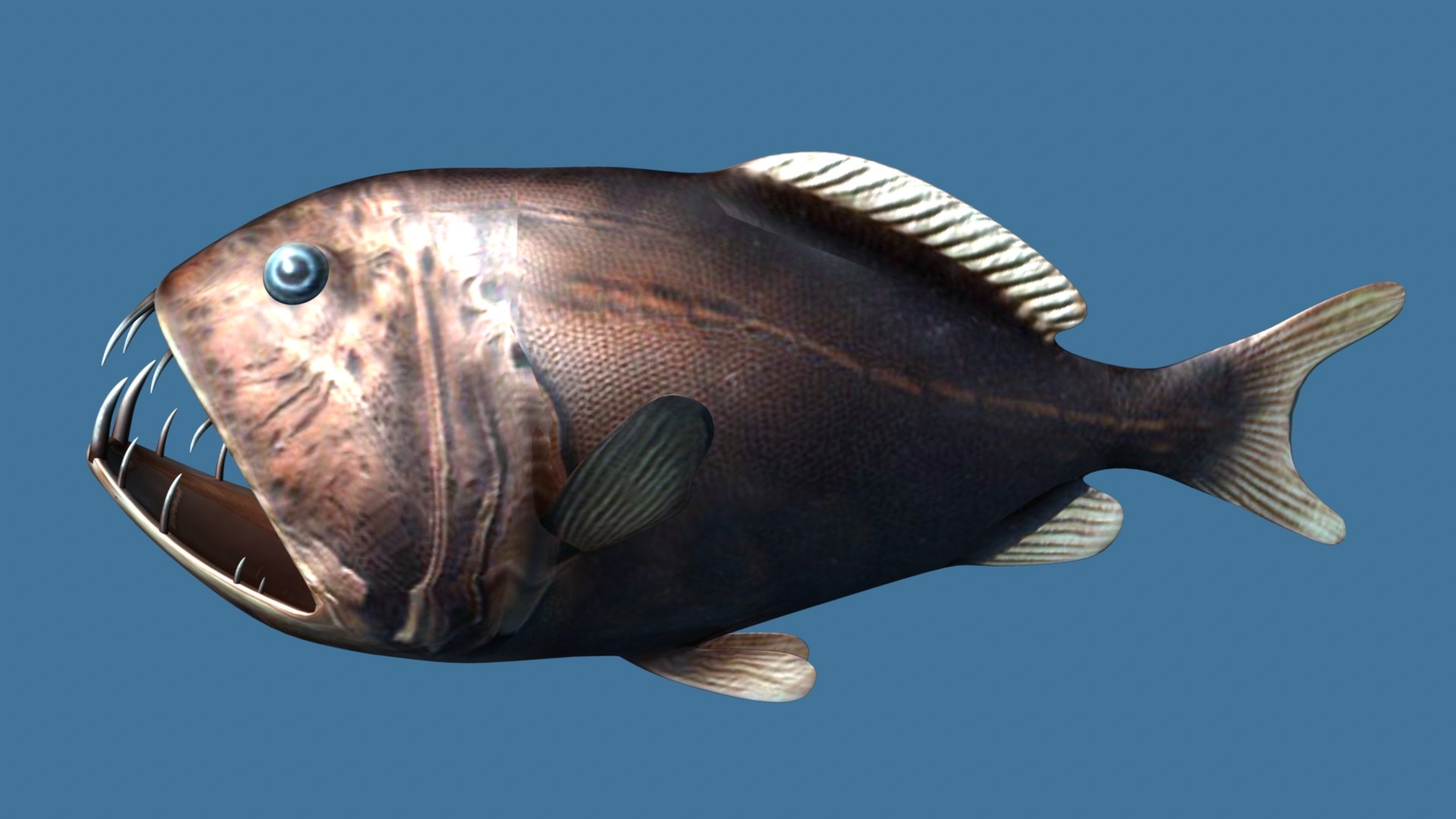 Fangtooth Fish 3D - TurboSquid 2195062