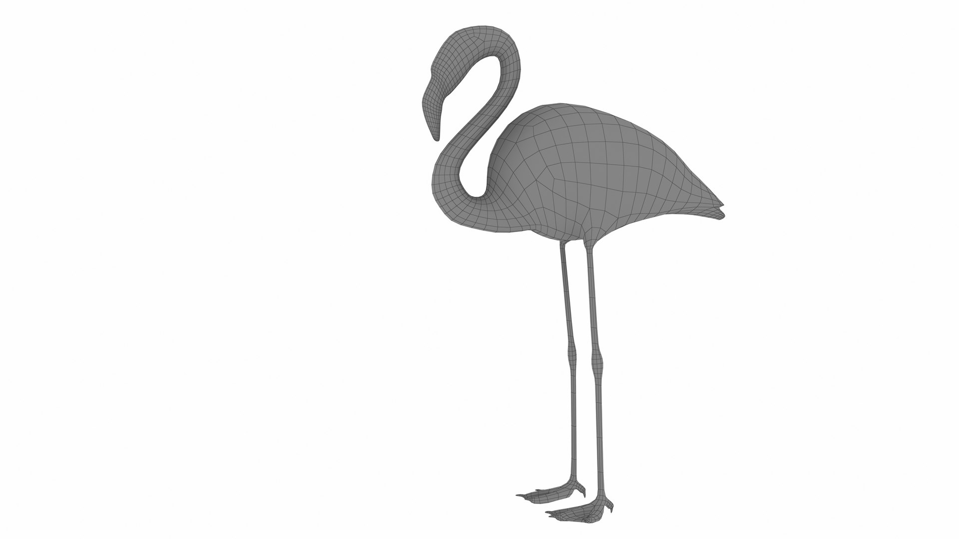 3D Flamingo Collection Model - TurboSquid 2339586