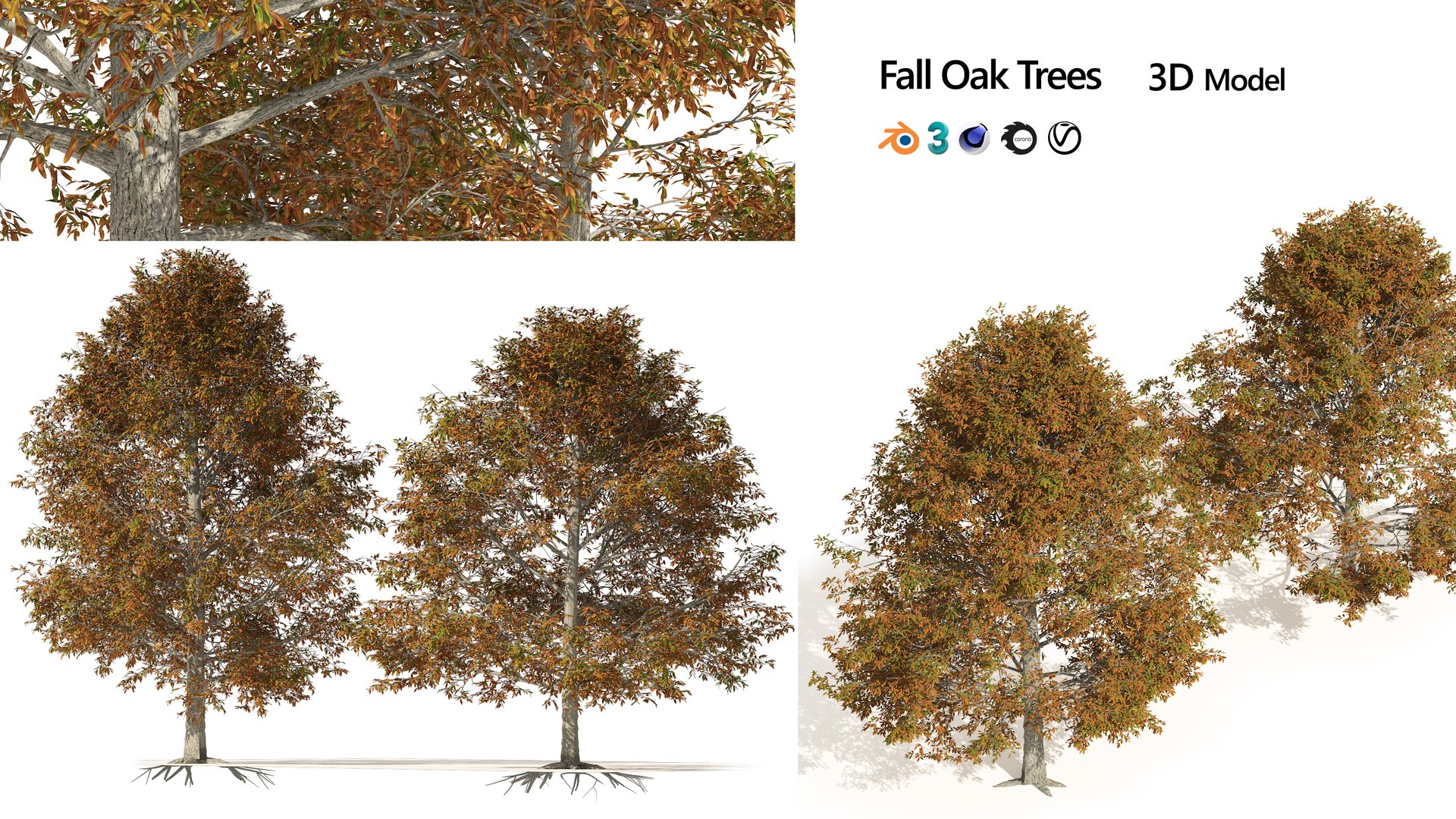 Autumn Yellow Shingle Oak Trees 3D Model - TurboSquid 1993472