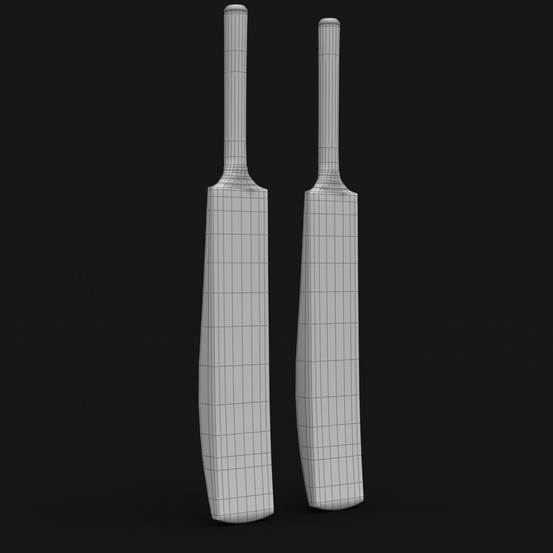 3d Cricket Bat Ca Model