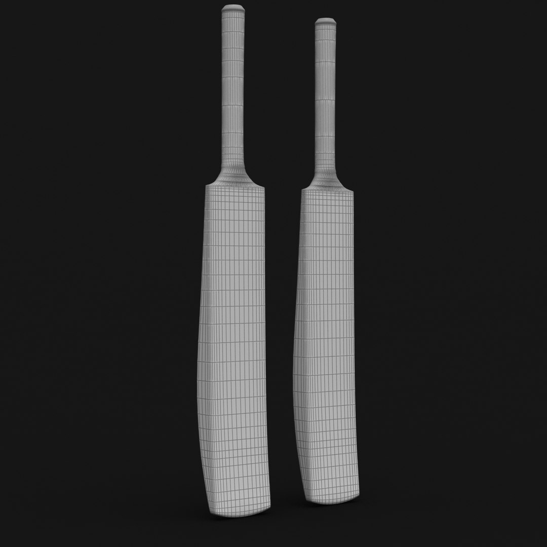3d Cricket Bat Ca Model