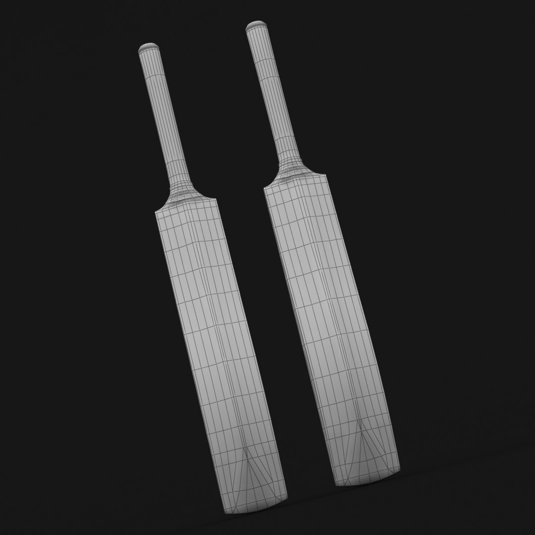 3d Cricket Bat Ca Model