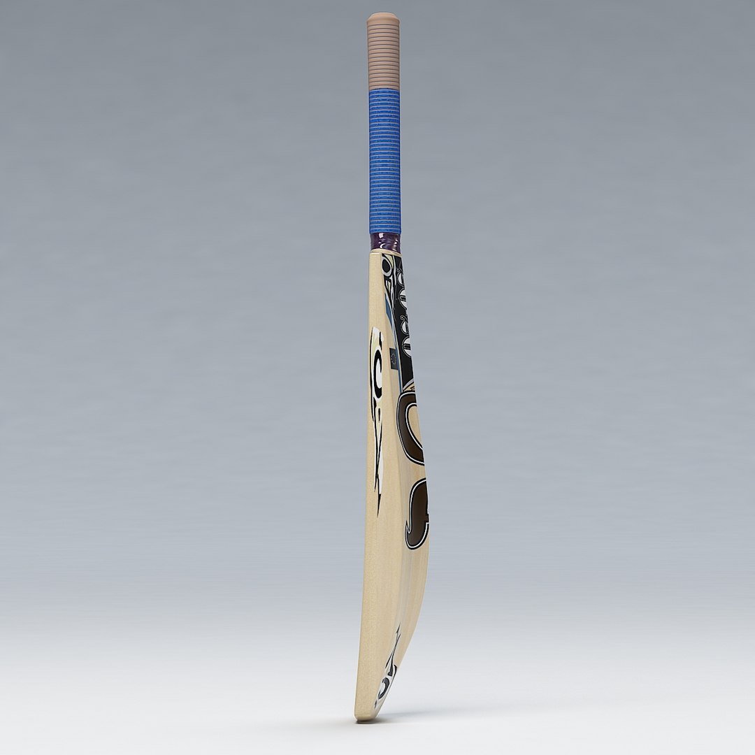 3d Cricket Bat Ca Model