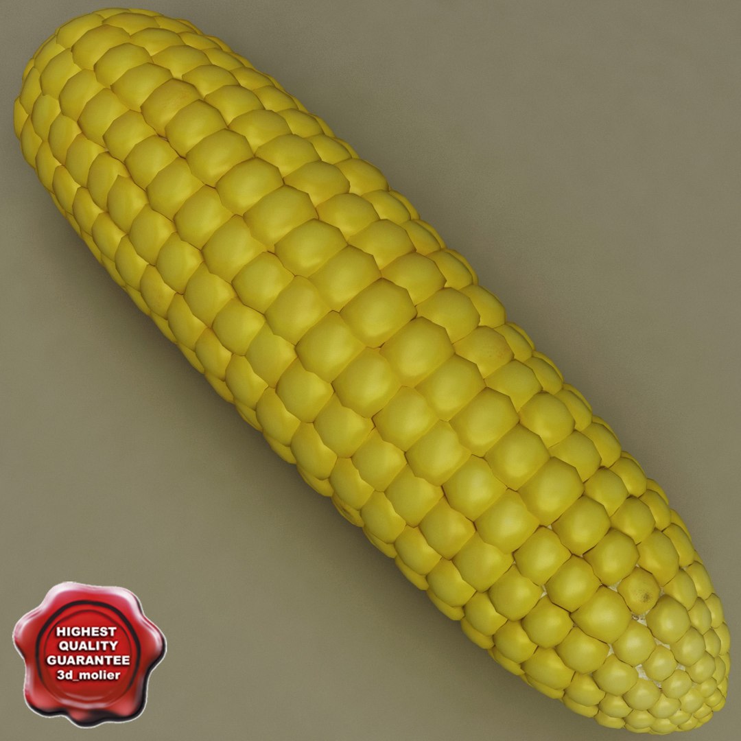 3d Corn V3 Model