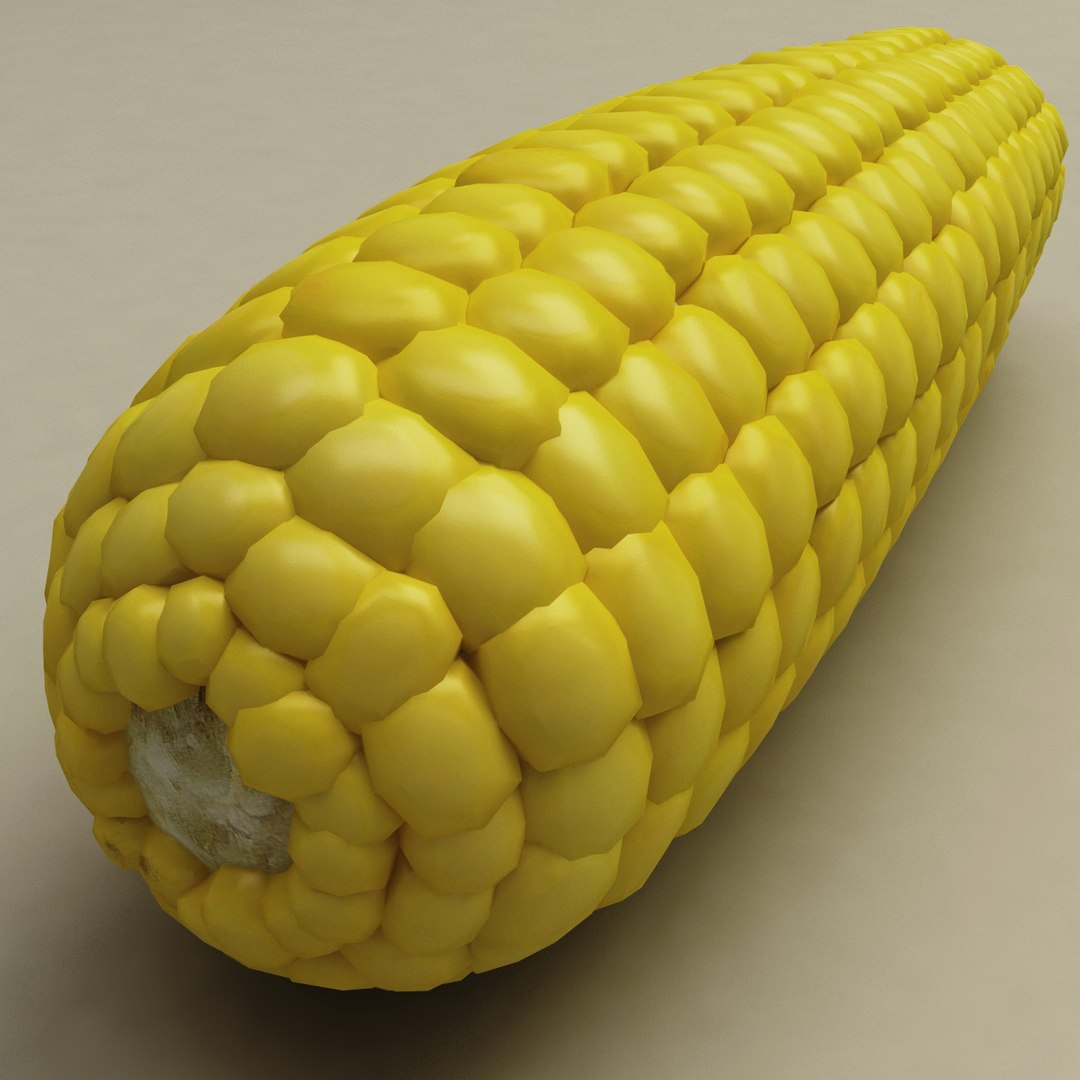 3d Corn V3 Model